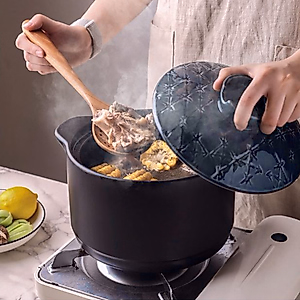 Lake Tian Ceramic Cooking Pot, Clay Pot Cooking, Earthenware Pot, Japanese Donabe, Chinese Ceramic/Casserole/Clay Pot/Earthen Pot Cookware Stew Pot Stockpot with Lid Small Steam, 砂锅 Blue 5L/5.3QT