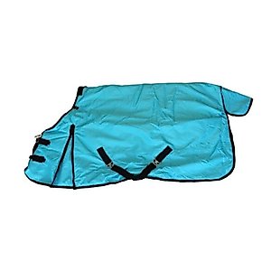 AJ Tack 1200D Waterproof Miniature Horse Turnout Blanket - Turquoise 52"