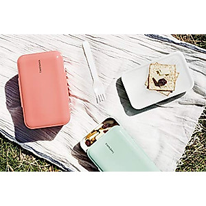 TAKENAKA Bento Bite Dual from, Eco-Friendly and Sustainable Japanese Style Bento Lunch Box (Peppermint)