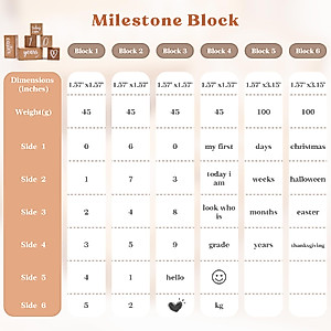 Monthly Baby Milestone Blocks Set of 6 Baby Age Blocks for Monthly Milestone Baby Age Milestone Signs Wooden Baby Photo Props Set Perfect for Baby Shower and Keepsake (Gift Set 6 PCS)
