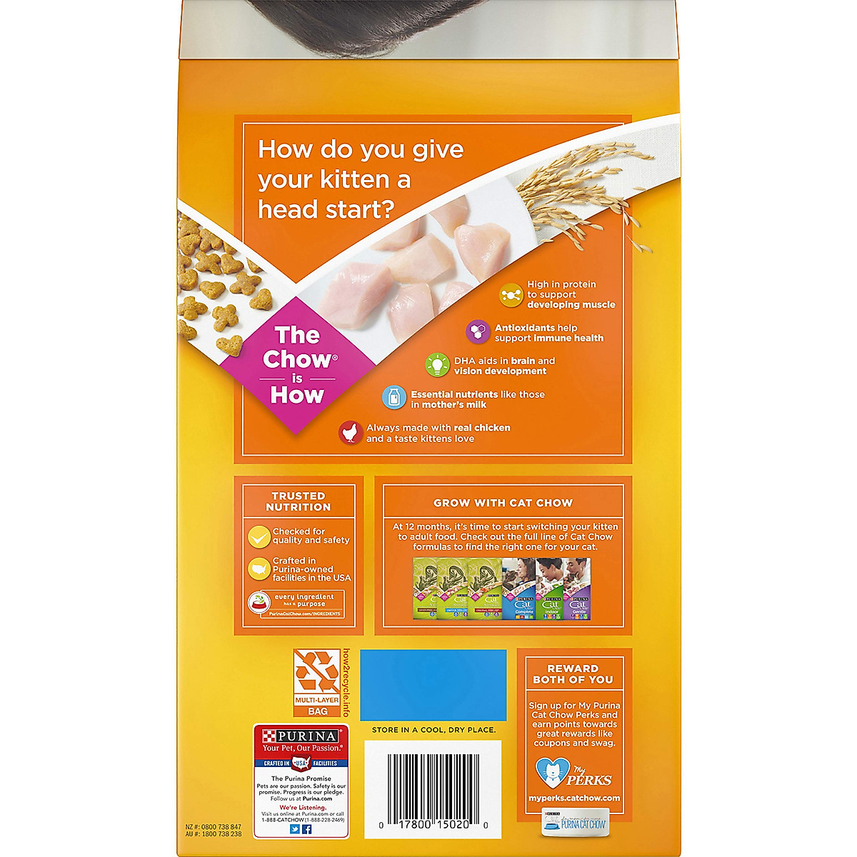 Purina Kitten Chow Nurture Kitten Dry Cat Food, 3.15 LB (Pack of 2)