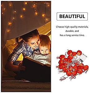 ibasenice Spring Festival Lantern String Lights LED Chinese Style Fairy Lights String Lamp Birthday Party Layout Lights Restaurant Garden Home Decor String Lights