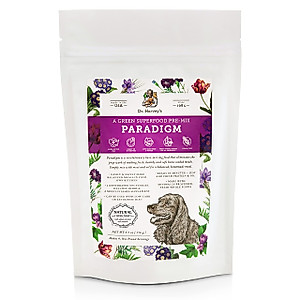 Dr. Harvey's Paradigm Green Superfood Dog Food, Human Grade Dehydrated Grain Free Base Mix for Dogs, Diabetic Low Carb Ketogenic Diet (Trial Size 5.5 oz)