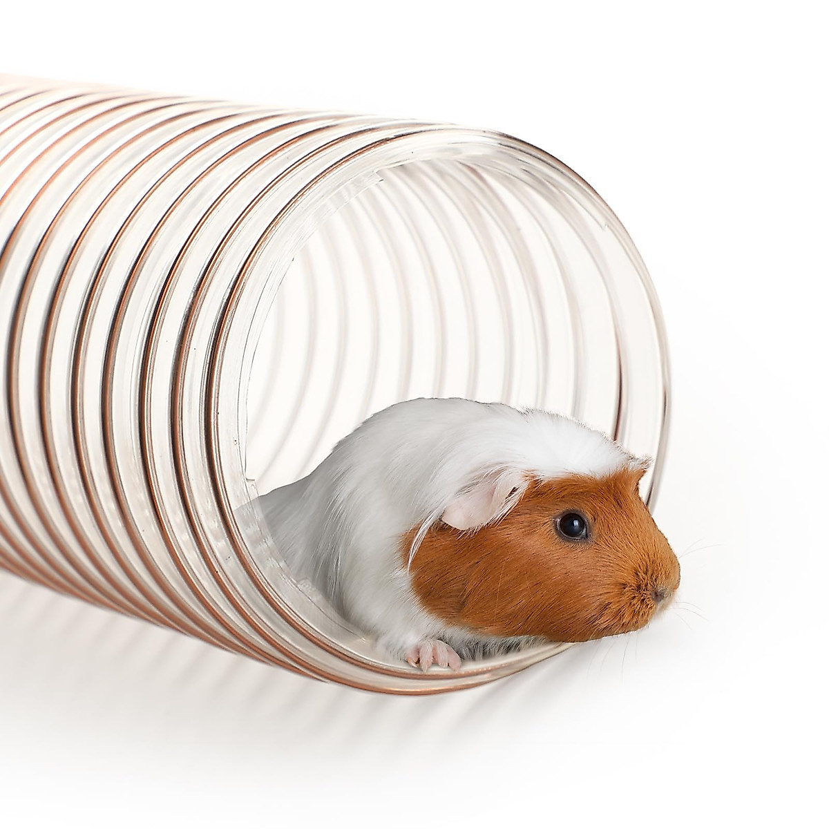 Sasylvia Ferret Thru Way Bunny Tunnel Two Way Rabbit Hideout Long Ferret Tunnel Tube Collapsible Ferret Toys Small Pet Fun Tunnel for Small Animals Guinea Pig Rat Chinchilla