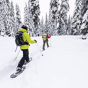 MSR DynaLock Trail 2-Section Alumunium Backcountry Poles, White, 80-140cm