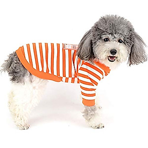 Zunea Dog Shirts for Small Dogs Girl Boy Summer Puppy Vest Clothes Soft Cotton Striped Sun Protection Tee Shirt Short Sleeve Pet Dog Chihuahua Apparel Cat Clothing Orange XL