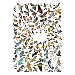 Animal Box: 100 Postcards by 10 Artists (100 postcards of cats, dogs, hens, foxes, lions, tigers and other creatures, 100 designs in a keepsake box)