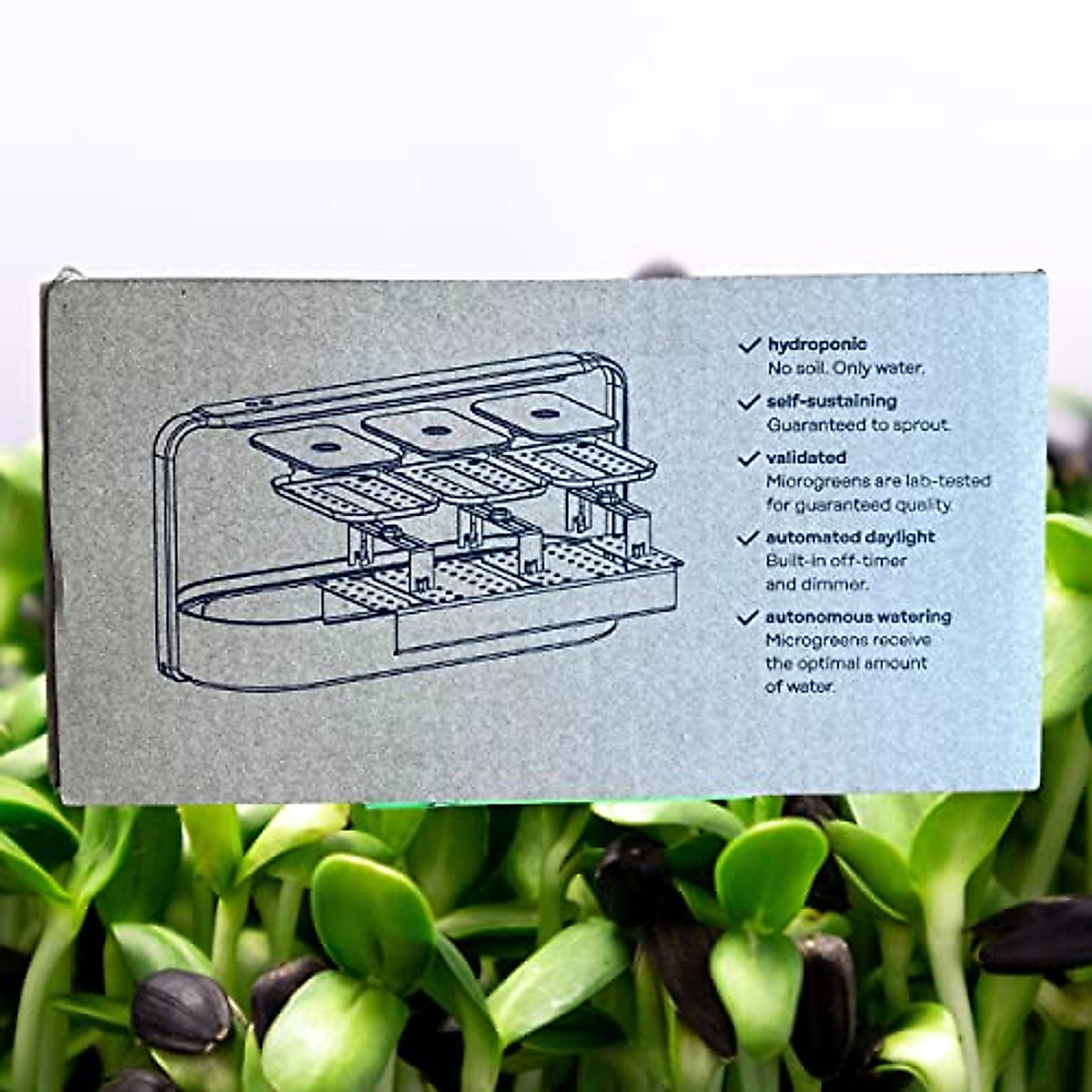 ingarden Superfood Microgreens Indoor Growing Kit with 3 Starter Seed Pod Trays and Grow Light, Smart Indoor Garden (Ceramic) | Jet Black