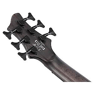 Ibanez BTB806MS 6-string Bass Guitar - Transparent Gray Flat
