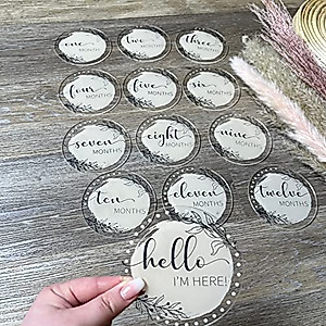 HOUSE OF PARTY 13 Pcs Acrylic Baby Milestone Discs - Baby Months Signs with Hello World Newborn | Attractive Baby Monthly Milestone Baby Girl or Baby Boy