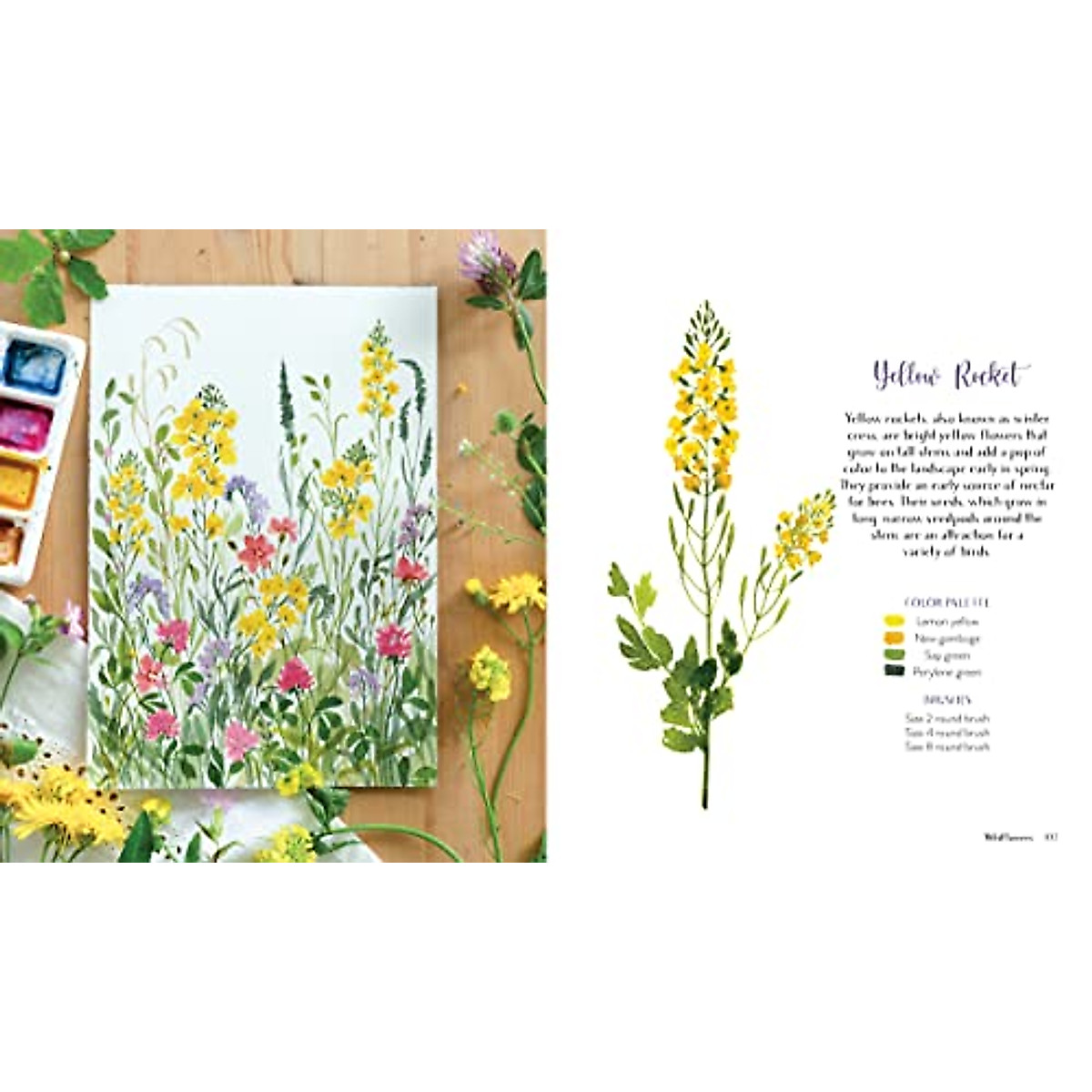 Wildflower Watercolor: The Beginner’s Guide to Painting Beautiful Florals