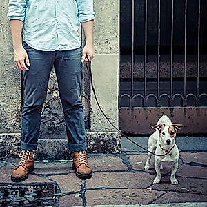 Real Leather Slip Dog Leash for Small Medium Dogs Puppies Lightweight Thin but Sturdy Adjustable Slip Lead Dog Leash Soft and Slim 5 ft x 1/5 inch (Small(5 ft x 1/5 inch))