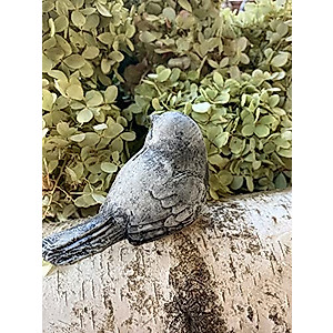Outdoor Yard Decor, Fairy Garden Accessories, Housewarming Gift for Bird Lovers, Resin Stone Tabletop Figurines Set of 2
