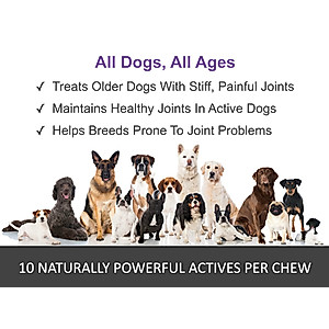 Advanced Joint Repair + Hemp Hip & Joint Health Supplement for Dogs - Relieves Arthritis, Pain & Inflammation, Improve Mobility, Extra Strength Soft Chew Treats with Glucosamine, Chondroitin & MSM