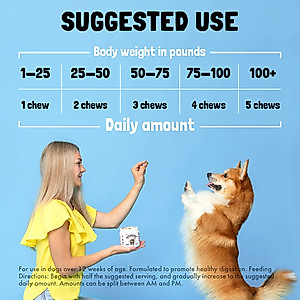 Dog Vitamins - 120 Multivitamins Chews w/Glucosamine Chondroitin, Probiotics Digestive Enzymes and Omegas - Supplement for Overall Health - Joint Support, Immune Health, Skin and Heart Health