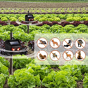 Phosooy 6 Pack Solar Animal Repellent, Predator Eyes Animal Deterrent Sentinels with Red LED Blinking Lights Drive Away Raccoon, Deer, Skunk, Cat, Coyote from Yard Farm and Chicken Coops