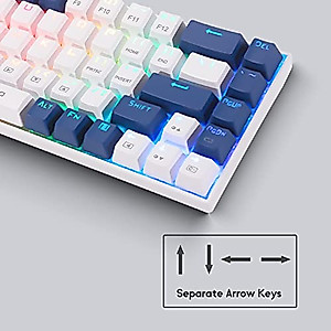 HUO JI 65% RGB Gaming Keyboard, E-YOOSO Z-686 Wired 68 Keys Mechanical Keyboard, Linear Red Switches, Pro Software Supported, Detachable USB-C Cable, Separate Arrow Keys - Blue/White