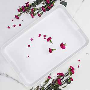 Zak Designs 21in x 13.5in Large Gallery Serving Tray - BPA-free, Eggshell White GL