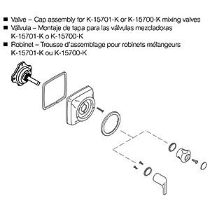 Kohler GP77886 K-GP77886 Faucet Valves