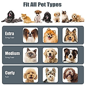 lvittyPet Dog Grooming Kit & Pet Hair Vacuum(Low Noise) Pet Grooming Vacuum with Powerful Suction 1.8L,5 Pet Grooming Tools for Dogs Vacuum for Shedding Grooming