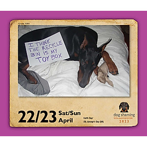 Dog Shaming 2023 Day-to-Day Calendar