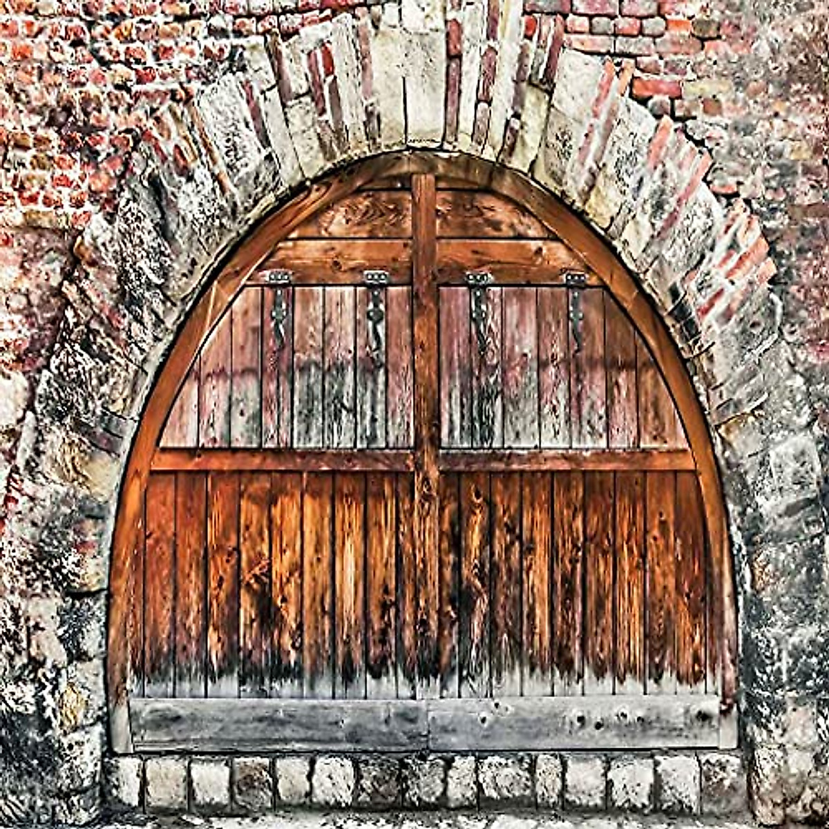 NARBOR Soft Fleece Throw Blanket - Fluffy Microfiber Solid Blankets for Bed and Couch Double/Single Size - 59X79Inch Arched Wooden Door Printed Flannel Blanket for Bed, Couch and Sofa