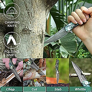 Benkey Damascus Pocket Knife with Clip Leather Sheath Sharp VG10 Core Folding Knife, EDC with Liner Lock Unique Abalone Seashells Handle for Outdoor Survival Camping Collection