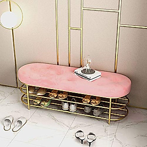 TAZSJG Shoe Stool with 2 Layers Shoe Rack Shelf Sofa Cushion Entrance Door Shoe Cabinet Shoe Stool Storage Stool (Color : A)