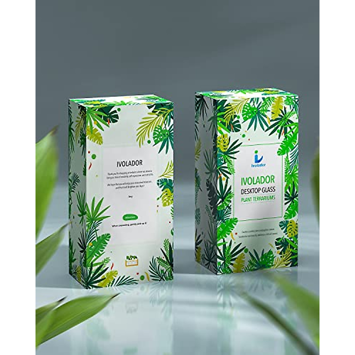 Ivolador Tabletop Propagation Station,Plants Terrarium Glass Bulb Terrarium with Retro Solid Wooden Stand for Hydroponics Plants Home Garden Wedding Décor (3 Bulbs)