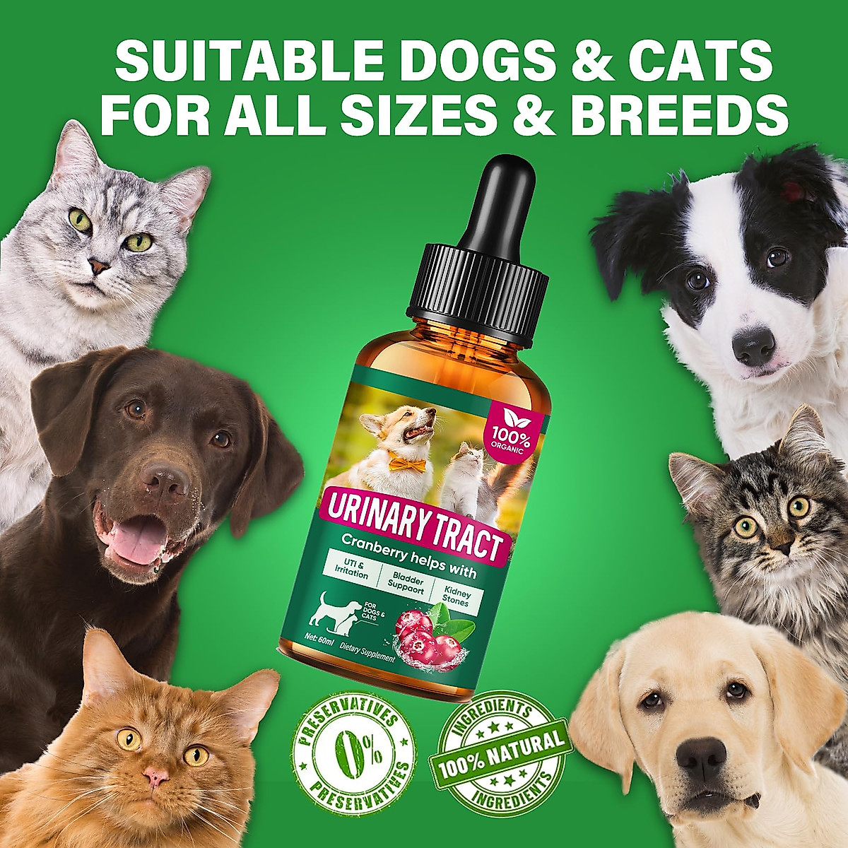 Cat & Dog UTI Treatment - Urinary Tract Support for Pets，Cranberry Kidney and Bladder Supplements, Pet Renal Health Care, Prevention and Treatment