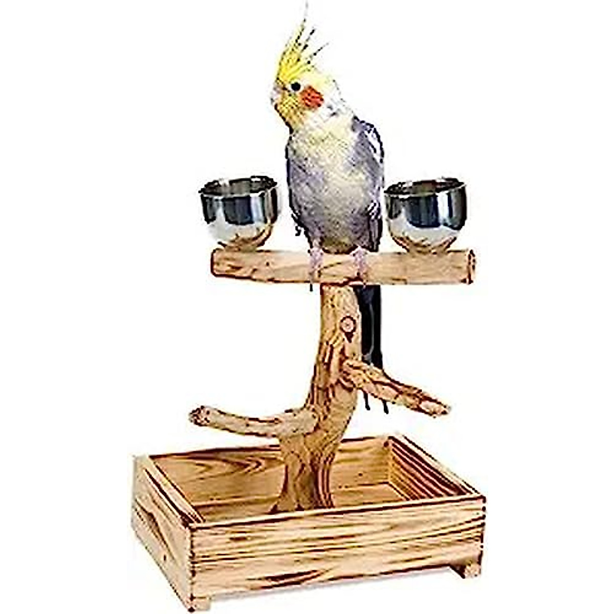 PENN-PLAX Bird-Life Natural Wood Tree Perch for Small and Medium Birds – Includes 2 Stainless Steel Cups and Drop Tray – Medium