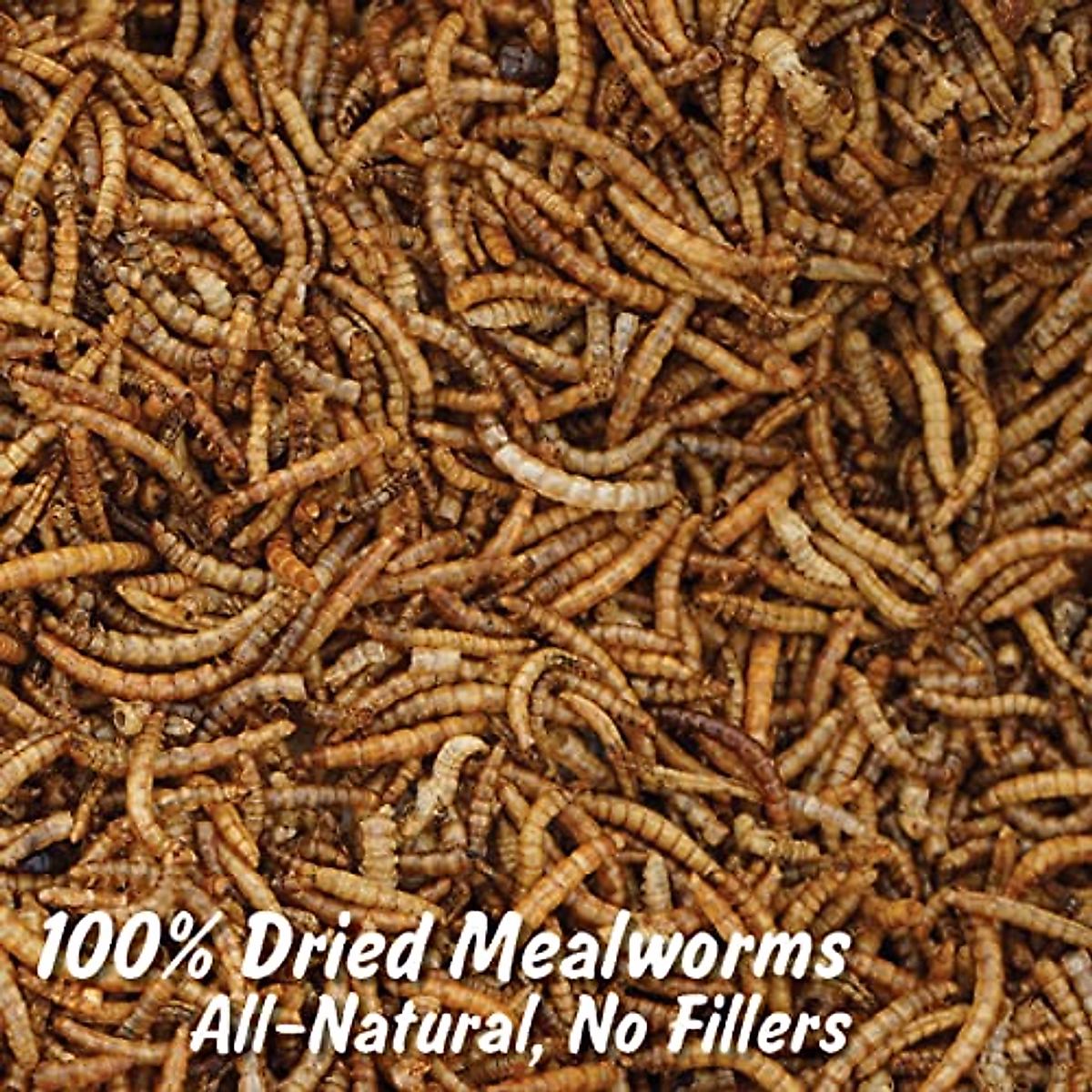Mann Lake Mealworms Wonder Grubs 5 lb Non-GMO Dried High-Protein Chicken, Wild Bird, Duck, Fish, Reptiles, Tortoise, Amphibians, Lizard, Single