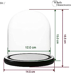 WHOLE HOUSEWARES | Decorative Clear Glass Dome | Cloche Glass Dome for DIY Snow Globes | Tabletop Centerpiece | Cloche Bell Jar Display Case | Black MDF Base, 5.7" D X 6.5" H
