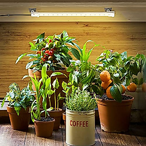 Sondiko Grow Light Strip, Full Spectrum Sunlike Auto ON&Off Grow Light Strip with 3/9/12H Timer&10 Dimmable Levels for Indoor Plants (13.2 inches Length)