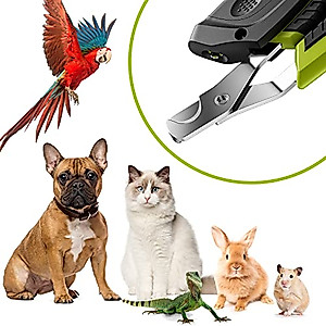 Pecute Cat Nail Clipper with Adjustable Light, Cat Nail Trimmer with Sharp Stainless Steel, Curved Head, LED Pet Nail Clippers for Cats, Kitten, Rabbit, Small Dog, Bird, Ferret, and Small Animals