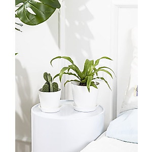 LaDoVita 7 Pack Plastic Plant Pots Indoor, 7/6.5/6/5.5/5/4.5/4 Inch Modern Planters for Plants, Flower Pots with Drainage Holes and Trays, White