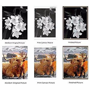 DIY 5D Diamond Art Painting Kits White Angel Wing Full Drill Round Diamond Art Paint by Number Kits for Beginner Crystal Cross Stitch for Wall Decoration(40x50cm)