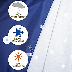 Blissun 10 x 10 Ft Outdoor Portable Pop-Up Canopy Tent with Roller Bag (Blue)