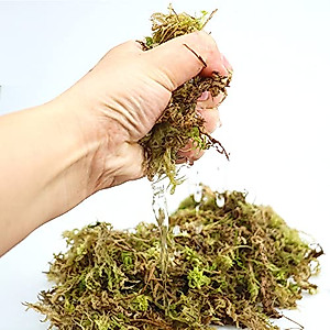 150 Grams Natural Sphagnum Moss Orchid Potting Mix, Organic Carnivorous Dried Peat Moss, Plant Supplies for Indoor Potting Soil, Perlite Blend, Reptile Bedding 3 Quart Sized Bag(Appx.5oz) by Giftape