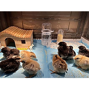 HKDQ Chick Brooder,Brooder Box for Chicks,Brooder Heater Warms up to 20 Chicks,with Pet Pee Pad(55L)