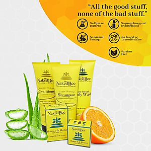 The Naked Bee Orange Blossom Honey Foam Soap (12 oz) Liquid Foaming Hand Soap - Mild Cleanser to Reduce Dryness - Gentle Foam for Clean and Soft Hands