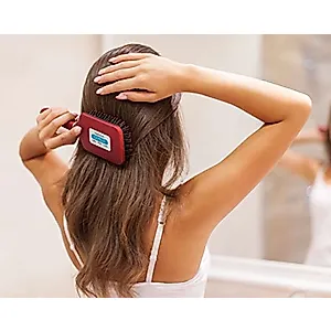 535 Spanish/English Vocabulary Word Sticker Labels – Educational Language Learning Resource for Memory & Sight – Fun for Around The House Game Play - Kids, Grade School, Classroom or Homeschool