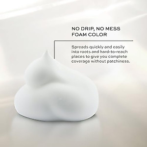 John Frieda Deep Cherry Brown 3VR Permanent Foam Hair Color, 1 Application