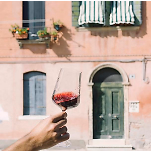 Zalto Denk'Art Universal Hand-Blown Crystal Wine Glasses I Set of 6 Glasses