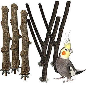 PINVNBY Natural Bird Wood Perch Parakeet Standing Toy Sticks Parrot Paw Grinding Branches Cockatiels Cage Chewable Accessories for Conures Macaws Finches 6 Pack