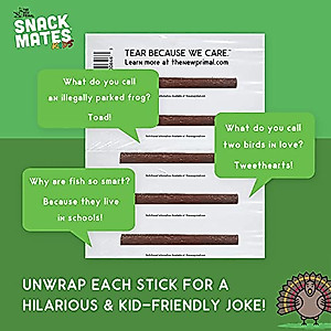 The New Primal Snack Mates Turkey Sticks, Gluten Free Healthy Snacks for Kids, Low Sugar High Protein Kids Snack for School, Mini Paleo Jerky Meat Stick, 7g Protein, 45 Calories, 10 Pack