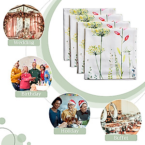 Maison d' Hermine Champ de Mars 100% Cotton Set of 4 Napkins, 20 - inch by 20 - inch.