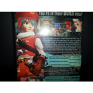 .hack, Part 1: Infection