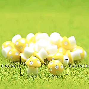 20Pcs Fairy Garden Mushrooms - Mini Mushroom Miniature Figurines for Micro Landscape/Bonsai Craft (Miniature Mushroom， 20Pcs)