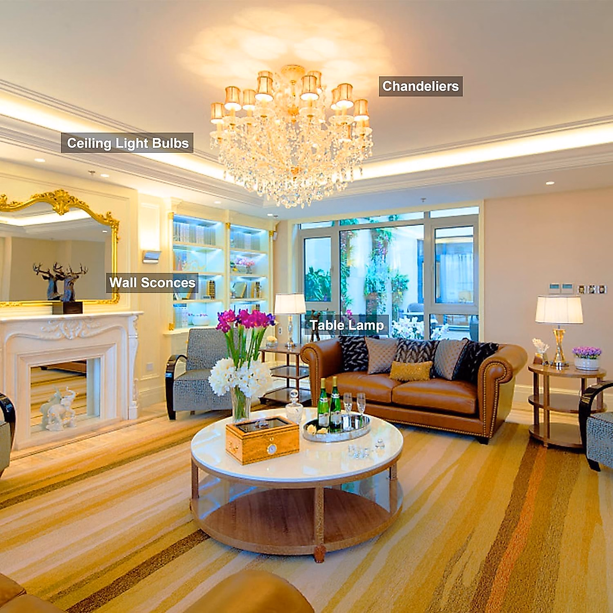 Vannise G9 40W Bulb-5 Pack Long Lasting JCD G9 120V 40W, Halogen Bulbs 2 Pin G9 Dimmable with 2800K Warm White, High Output G9 Bulb with G9 Base, G9 Light Bulb 40W for Chandelier,Range Hood Light